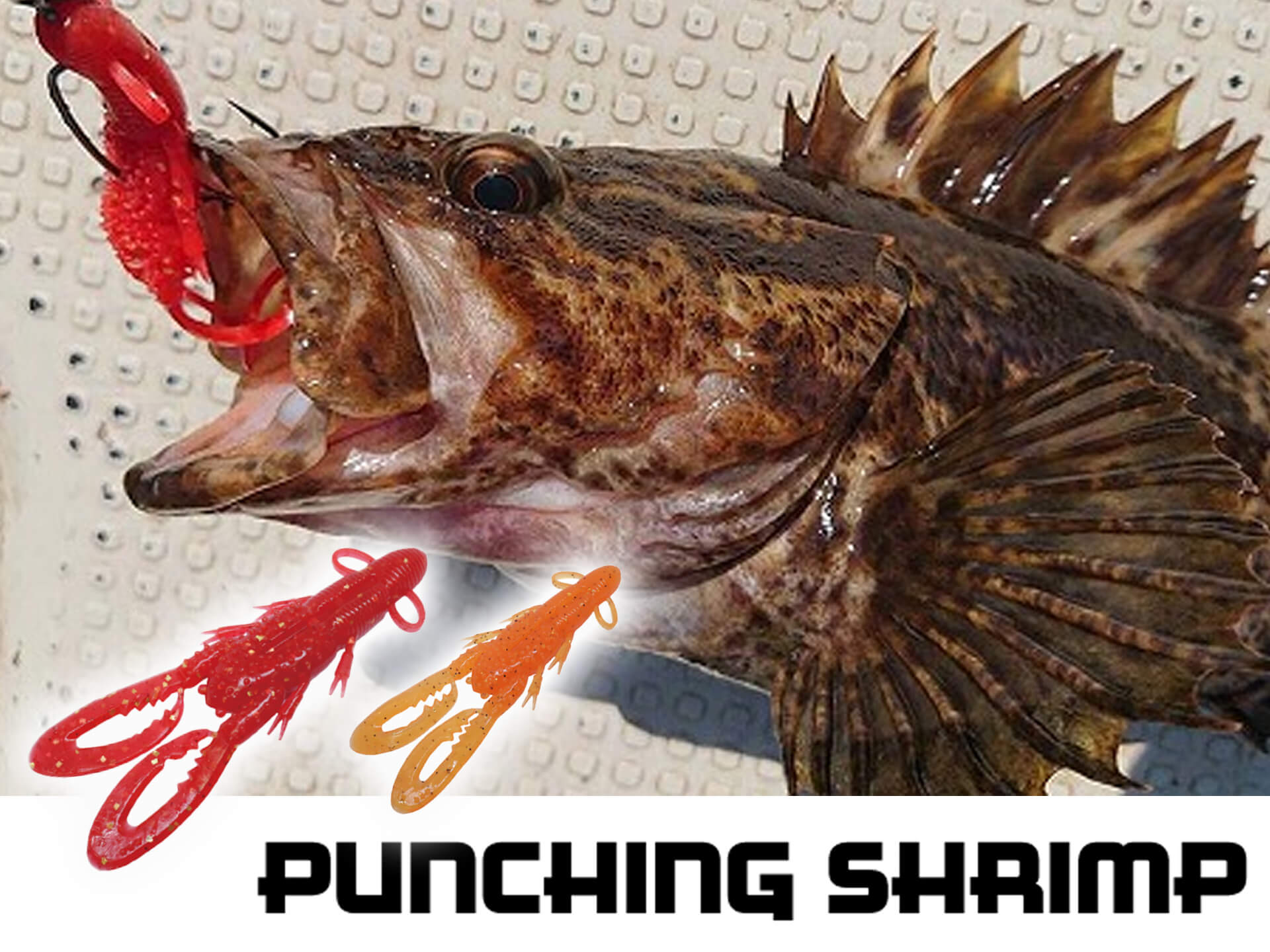 ロックフィッシュ・フラットフィッシュが好む！「シャコ」型ワーム「PUNCHING SHRIMP（パンチングシュリンプ）」【エクリプス ...