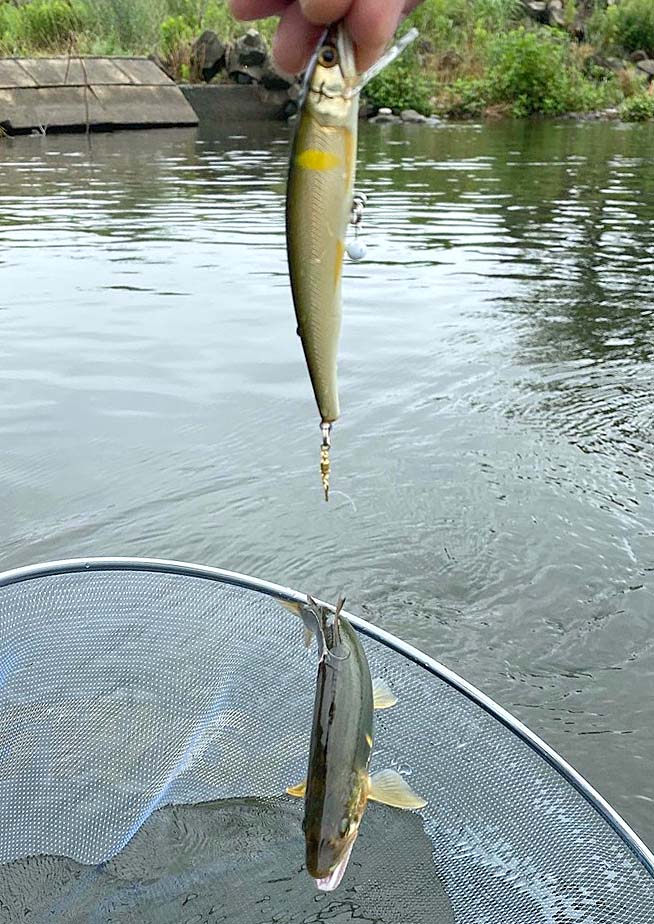 491613ad9274db20566aebab6ae8eeee | 釣具新聞 | 釣具業界の業界紙 | 公式ニュースサイト